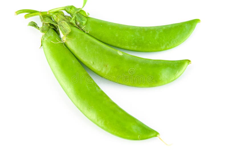 Green bean stock photo. Image of healthy, fresh, background - 32317786