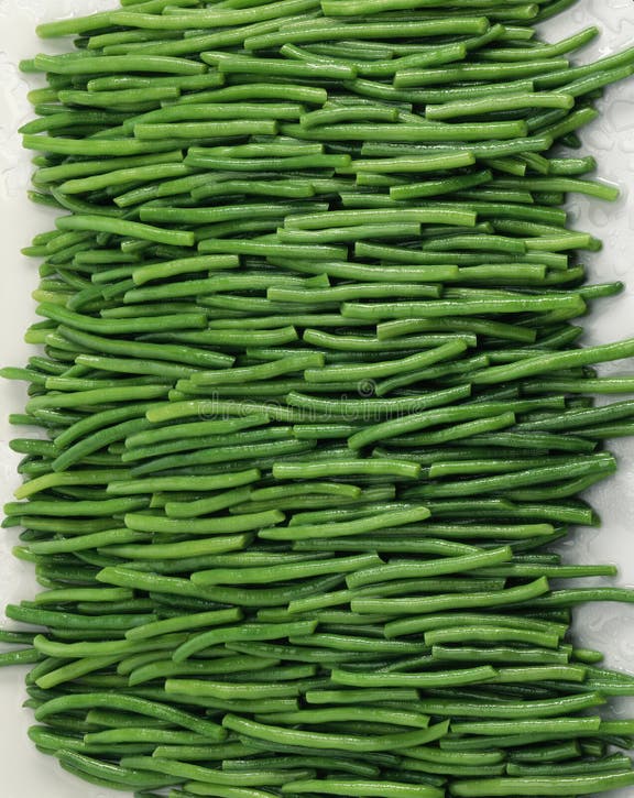 Green bean composition stock image. Image of health, color - 23709117