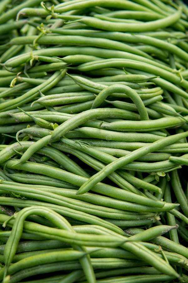 Green bean stock image. Image of agriculture, macro - 100977565