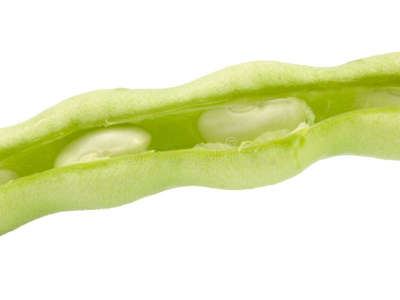 Green Bean Open stock photo. Image of closeup, white - 10517134
