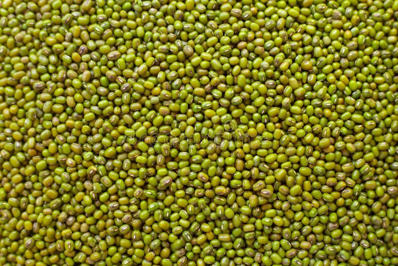 Green Bean Dried Texture Pattern Stock Image - Image of agriculture ...