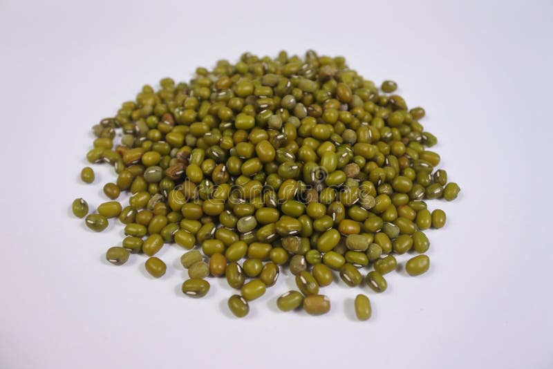 Mongo Tree Stock Photos - Free & Royalty-Free Stock Photos from Dreamstime