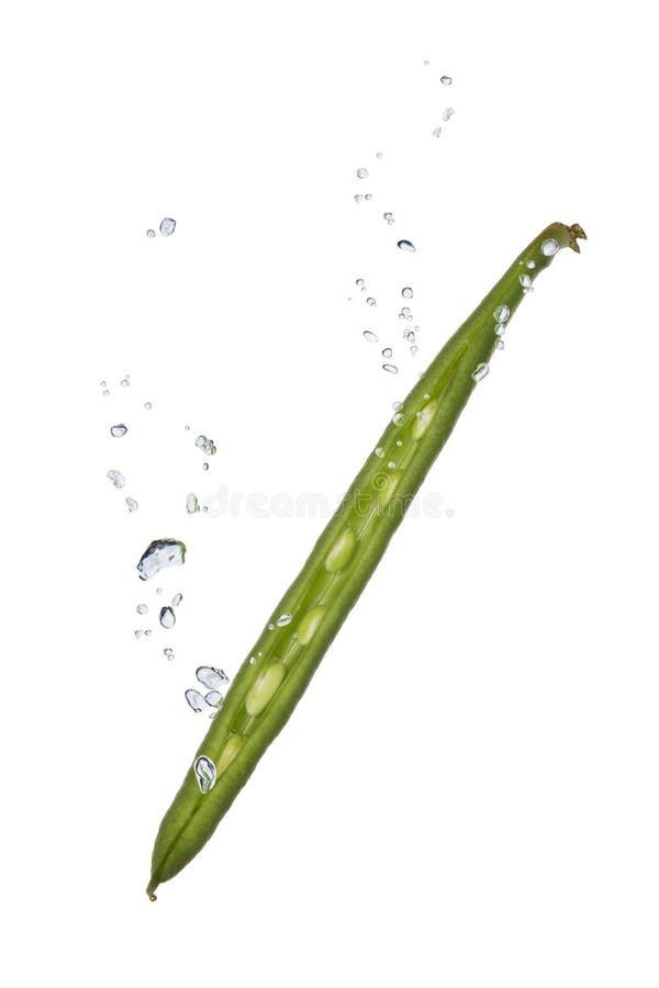 Green Bean in Water with Air Bubbles Stock Photo - Image of nutrition ...
