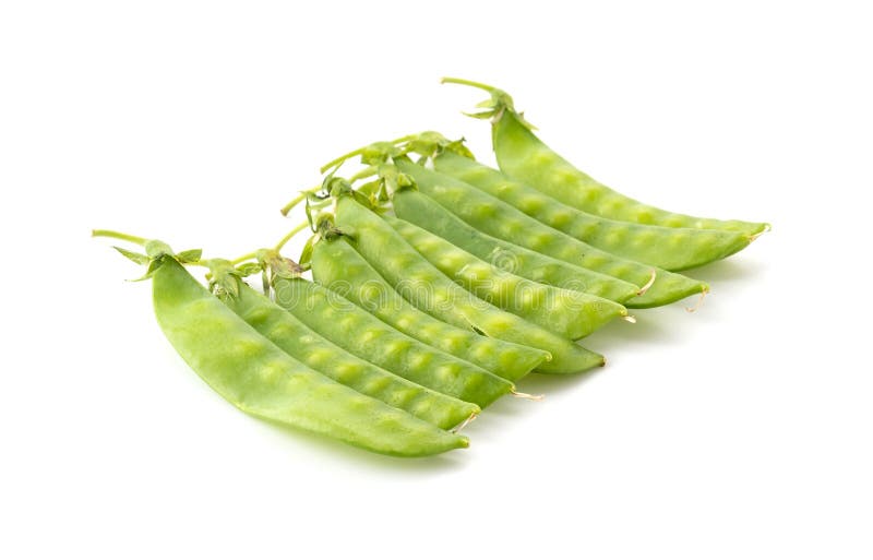 Green bean stock image. Image of bean, snack, gourmet - 79306715