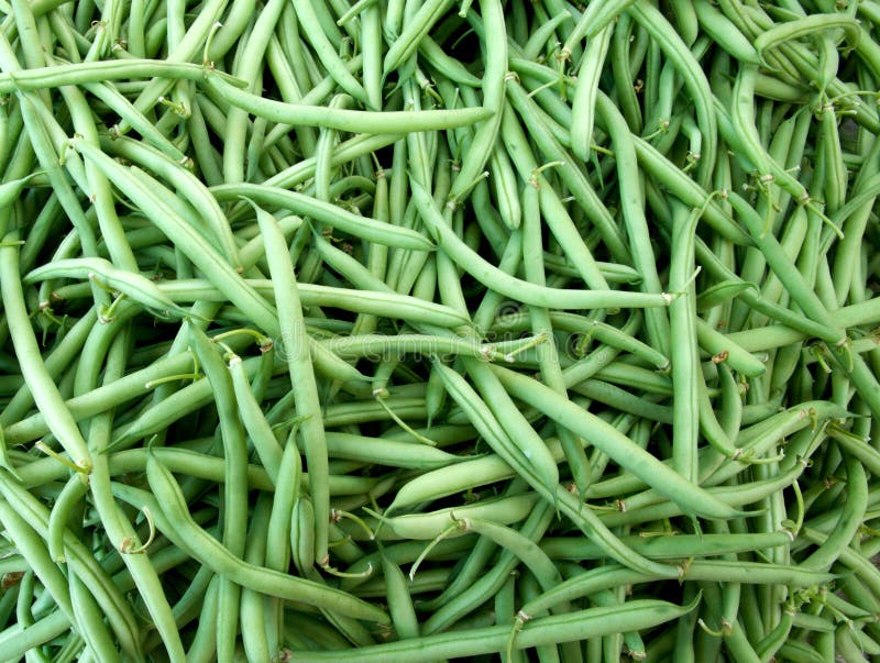 Green Beans stock photo. Image of bean, market, green - 10113984