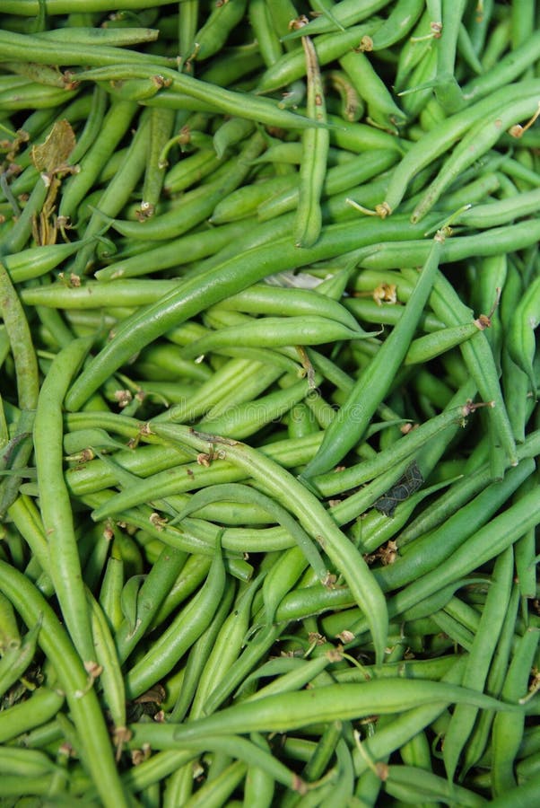 Green Beans stock image. Image of pods, beans, side, market - 13235617