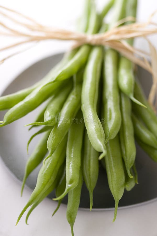 Green beans stock photo. Image of plant, greenbeans, diet - 14322634