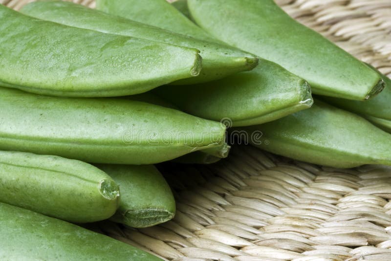 Green beans stock photo. Image of healthy, close, grow - 15372110