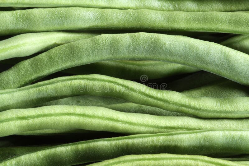 Green Beans stock photo. Image of grocery, fiber, green - 15809900