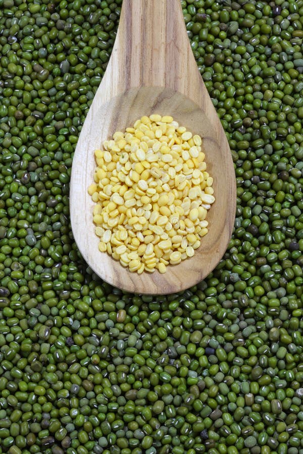 Green bean inside stock photo. Image of agriculture, food - 20062072