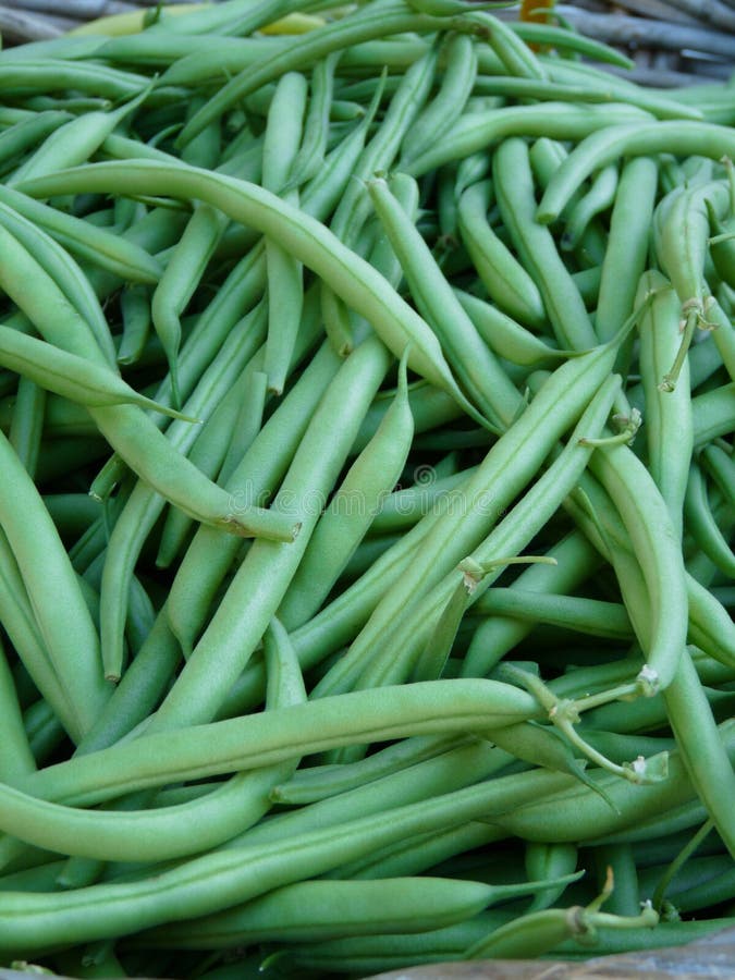 Green Beans stock image. Image of food, garden, healthy - 26305283