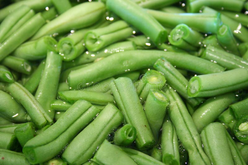 Green beans stock photo. Image of watter, fresh, vegetable - 2664704