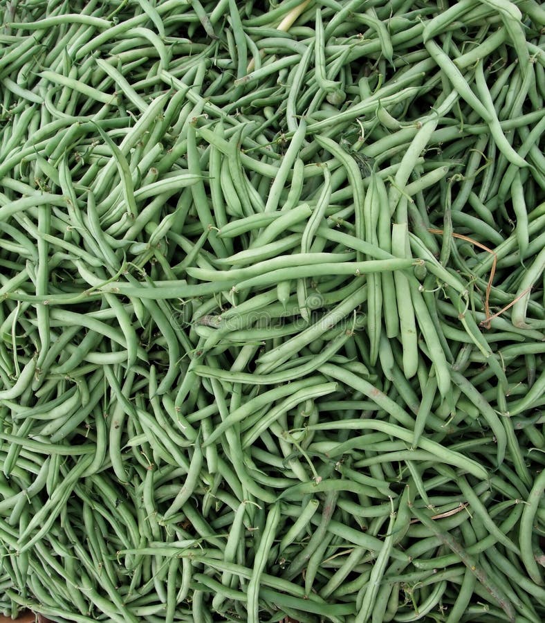 Green Beans stock image. Image of foods, peas, flavor - 5888045