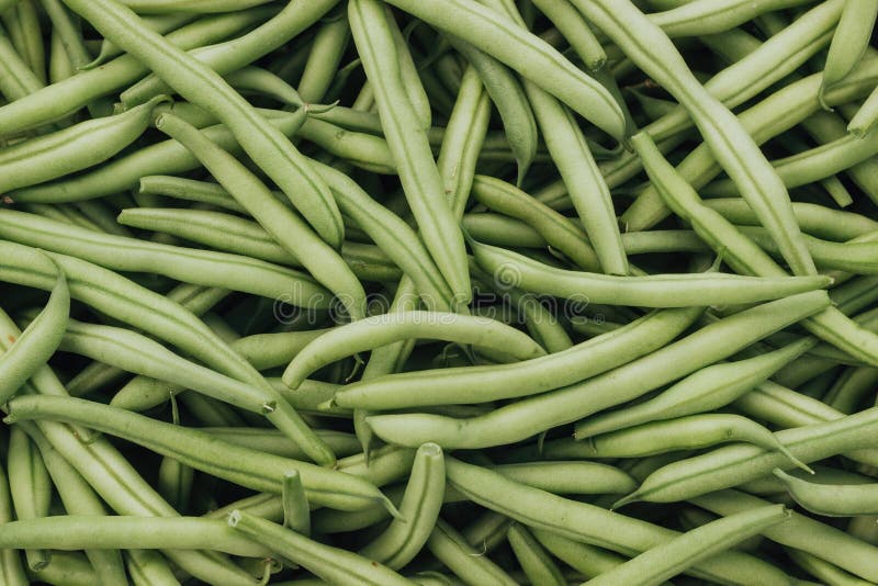 Fresh Green Beans Background. Close-up of Fresh Green Beans. Stock Photo - Image of agriculture ...
