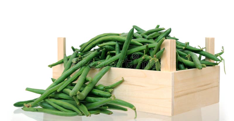 Green beans with case stock image. Image of string, case - 28272069