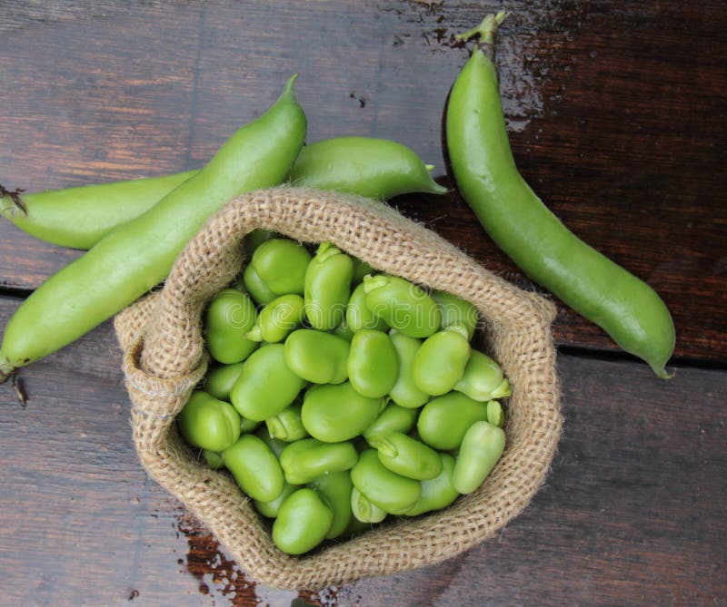 Faber beans stock image. Image of cereal, harvest, healthy - 25251073
