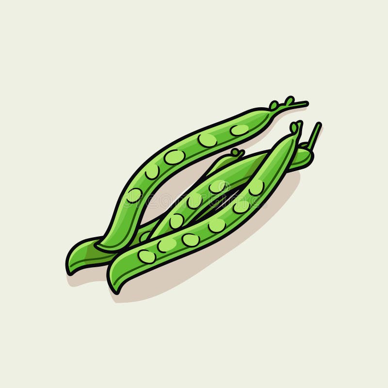 Green Beans Hand-drawn Illustration. Green Beans. Vector Doodle Style ...