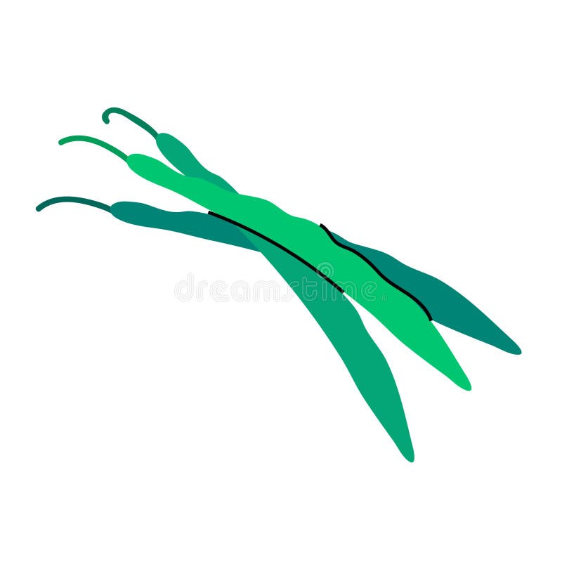 Green Beans Icon Clipart Logotype Isolated Vector Illustration Stock ...