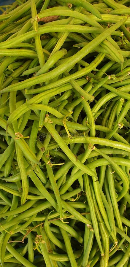 Green beans at the market stock image. Image of organic - 163345599