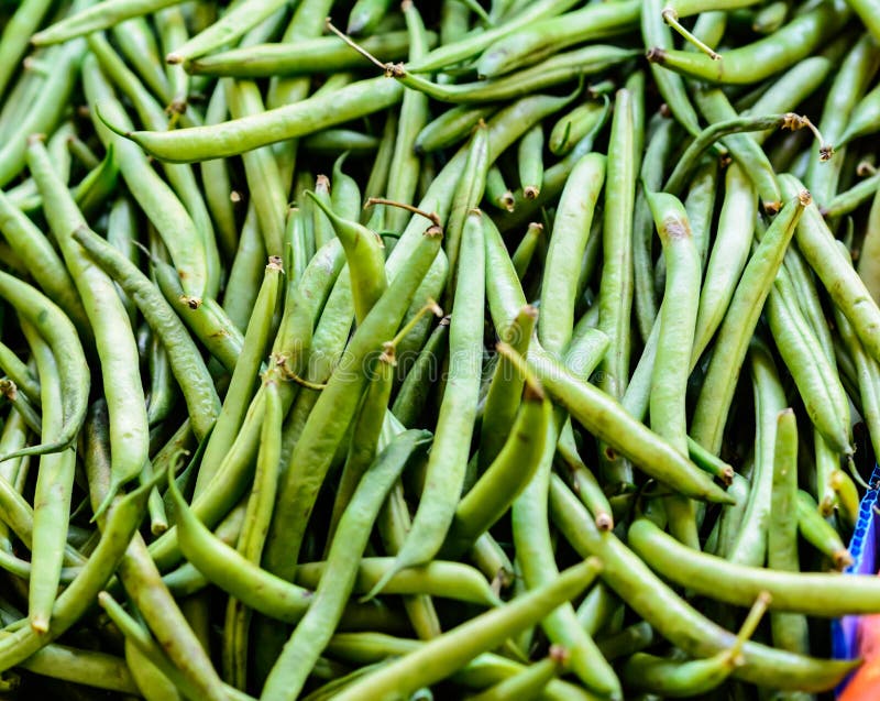 Green beans stock photo. Image of vegetable, eating, close - 30067008