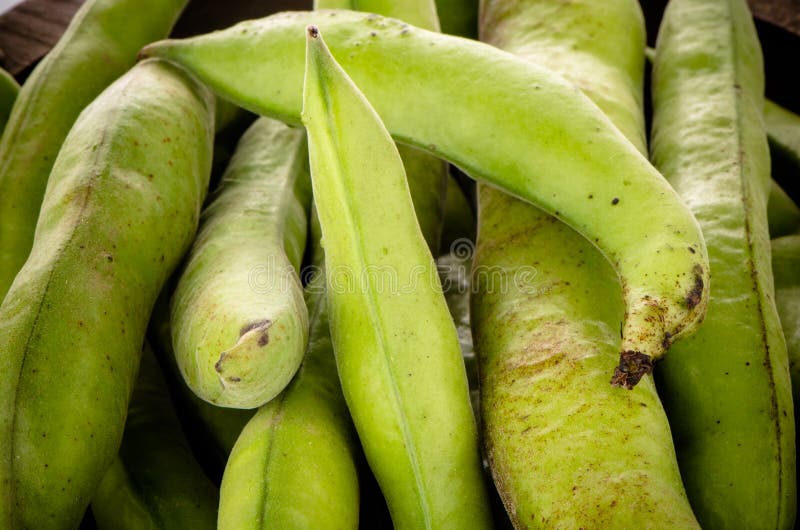 Green beans stock image. Image of legume, pods, bush - 34000357