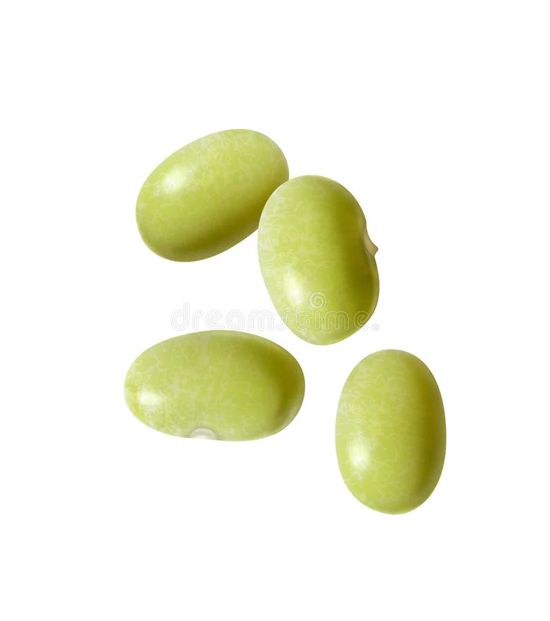 Green Beans Realistic Composition Stock Vector Illustration Of Farm