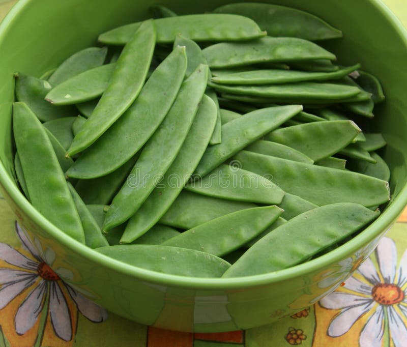 Green Beans stock image. Image of food, beans, green - 93976153