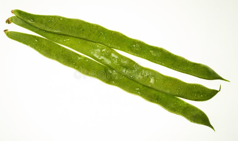 Green Beans, Tender and Very Fresh with Water Drops. Stock Photo ...