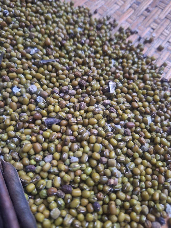 Green Beans are a Type of Secondary Crop that is Widely Known in ...