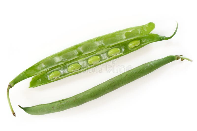Green Beans, Whole and Half Cut with Seed, Isolated on White Stock ...