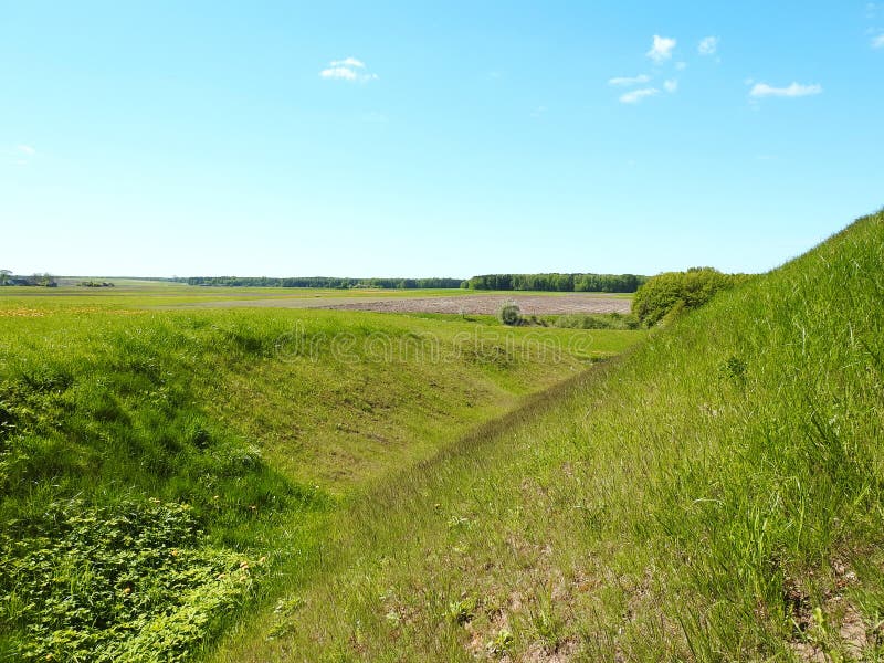 Green Beautiful Field in Spring, Lithuania Stock Photo - Image of sunny ...