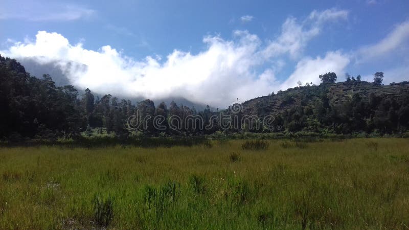 The Green and Beautiful Highlands of Dieng Stock Image - Image of ...