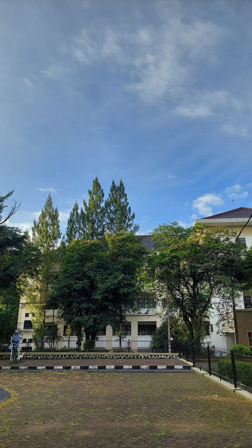 Green Beautiful Trees , the High Campus Building Stock Photo - Image of trees, green: 266191010