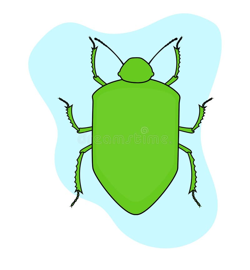 Green Beetle Insect Vector stock vector. Illustration of pediculus ...