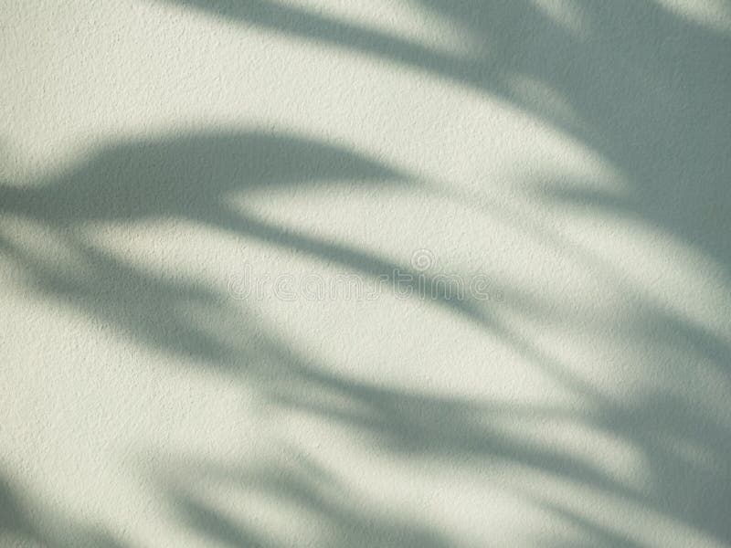 Abstract Minimal Eco Evergreens Environment Stock Photos - Free ...