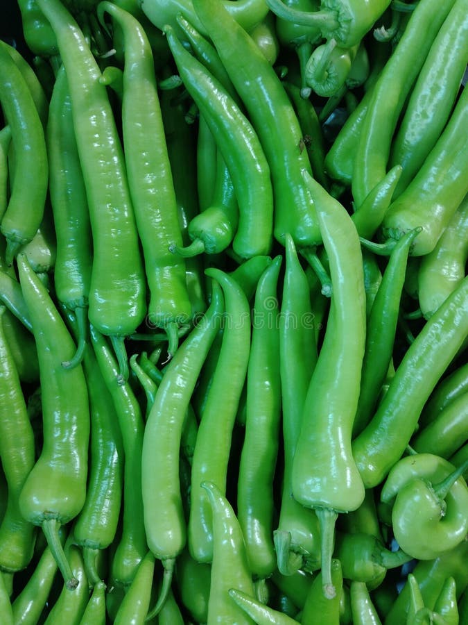 Green Bell Chilli Peppers at Vegetable Stall Stock Photo - Image of ...