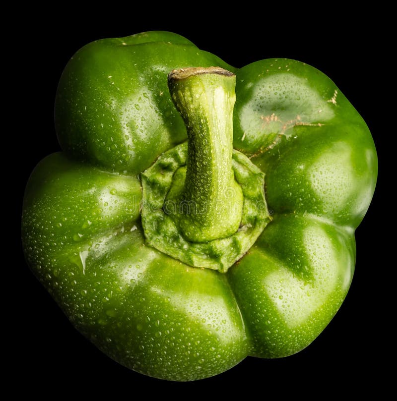 Green bell pepper stock photo. Image of bell, cayenne - 55764466