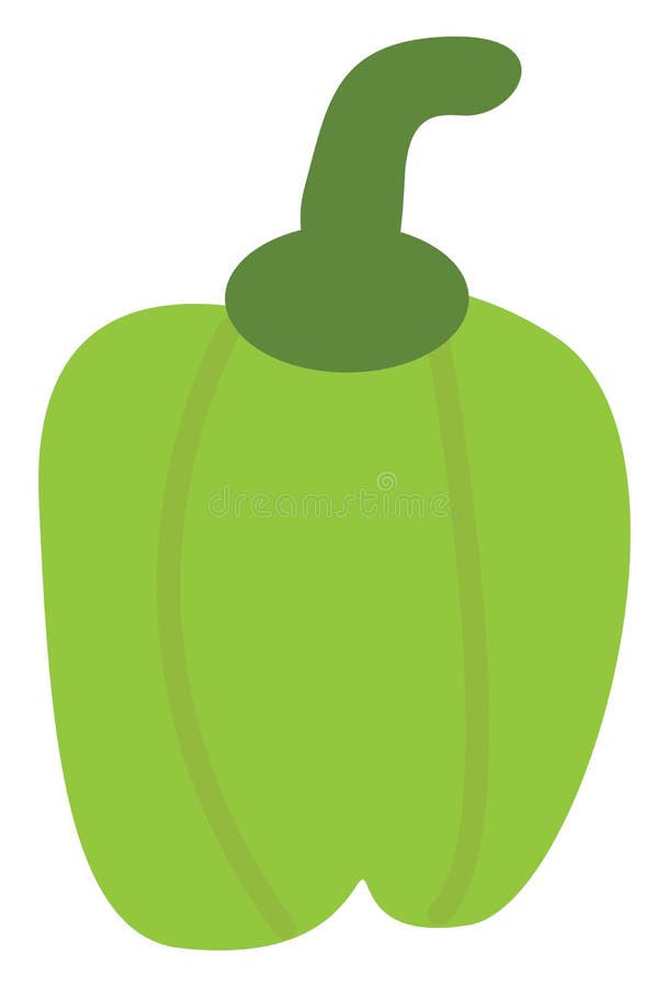 Green bell pepper, icon stock vector. Illustration of stuffed - 261074662