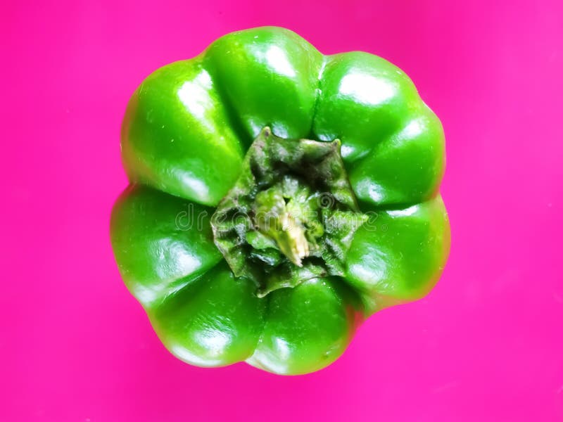 Green Bell Pepper Isolated on Pink Stock Image - Image of sunset, betel ...