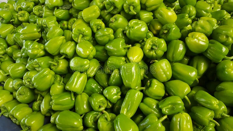 Green bell pepper stock image. Image of tasty, green - 76818043