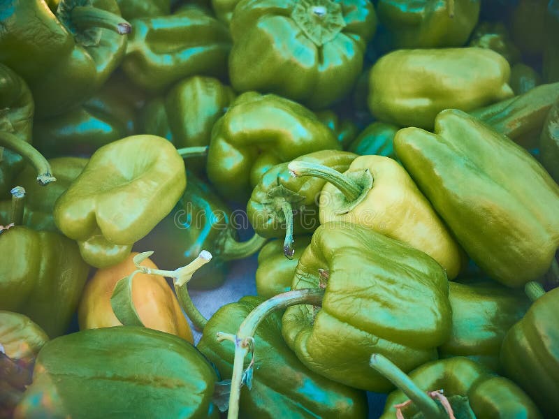 Green bell peppers stock image. Image of eating, closeup - 288745727
