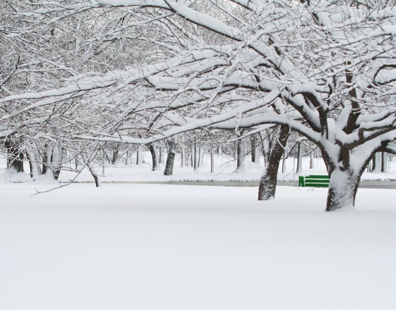 Green Bench in Winter stock image. Image of country, beauty - 6166553