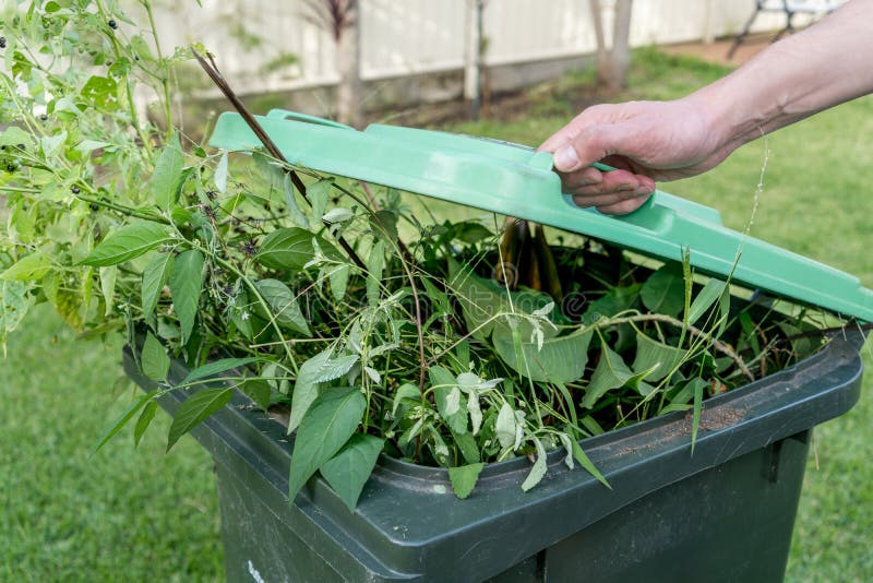 Green Bin Container Filled with Garden Waste. Recycling Garbage for a ...