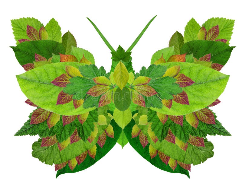 Green bio butterfly stock photo. Image of ecology, green - 52125872