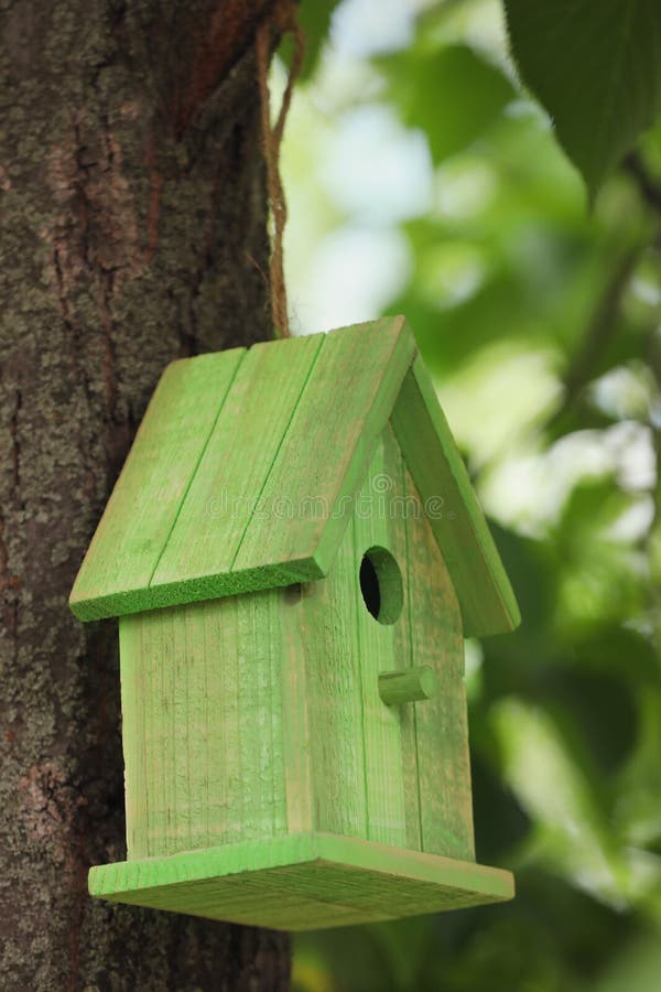 Green Bird House on Tree Trunk Outdoors Stock Photo - Image of habitat ...