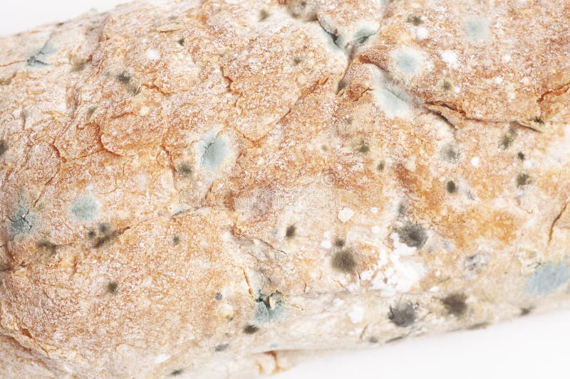 The Texture of Bread. Tasty Fresh Bread, Close Up Stock Photo - Image ...