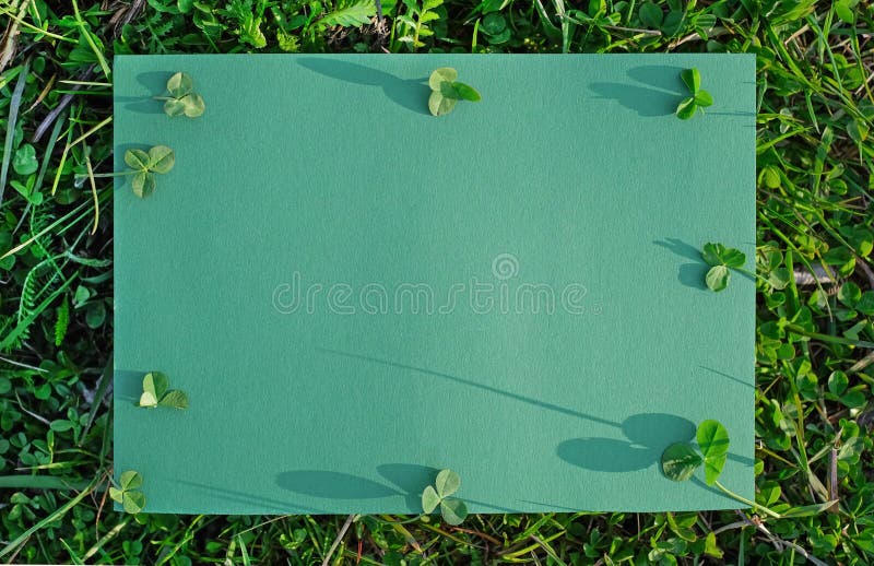 Green Blank with Clover Leaves on Grass Backround, Mock-up Stock Image ...