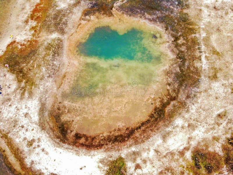 Green and Blue Algae Lagoon in Arcen, Netherland Stock Image - Image of ...