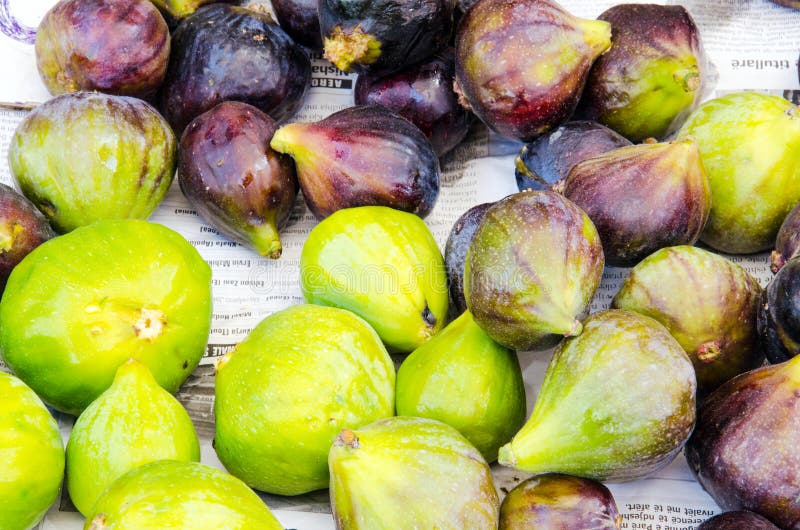 Green and blue fig stock photo. Image of food, concept - 37579446