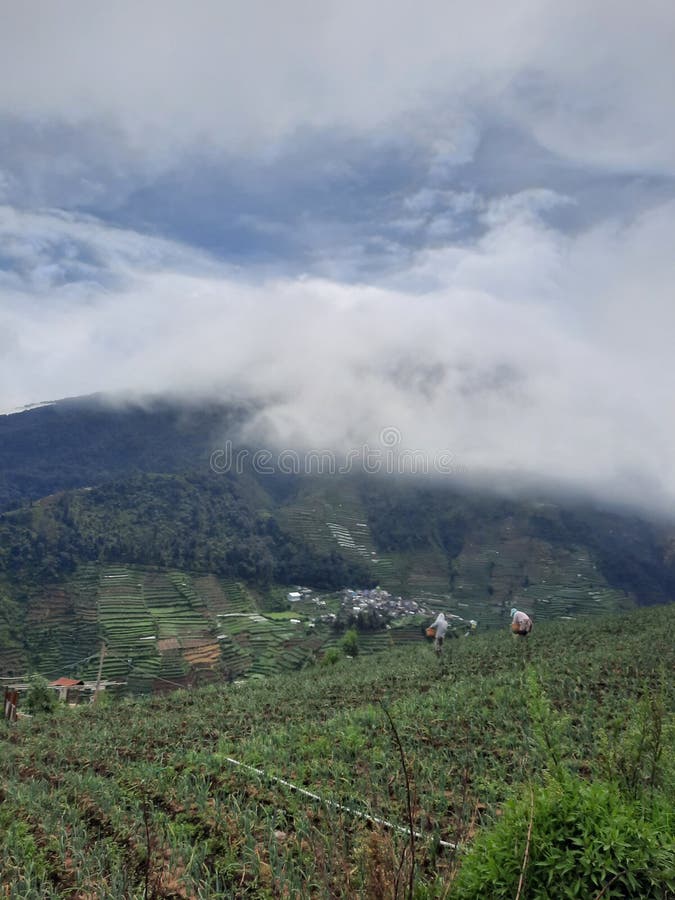 Natural Scenery of Dieng stock image. Image of dieng - 206558371